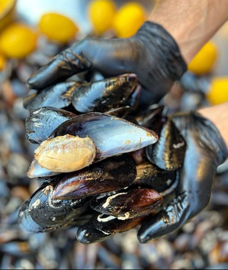 Kadıköy'de En İyi 7 Midyeci - İstanbul - Harbi Yiyorum