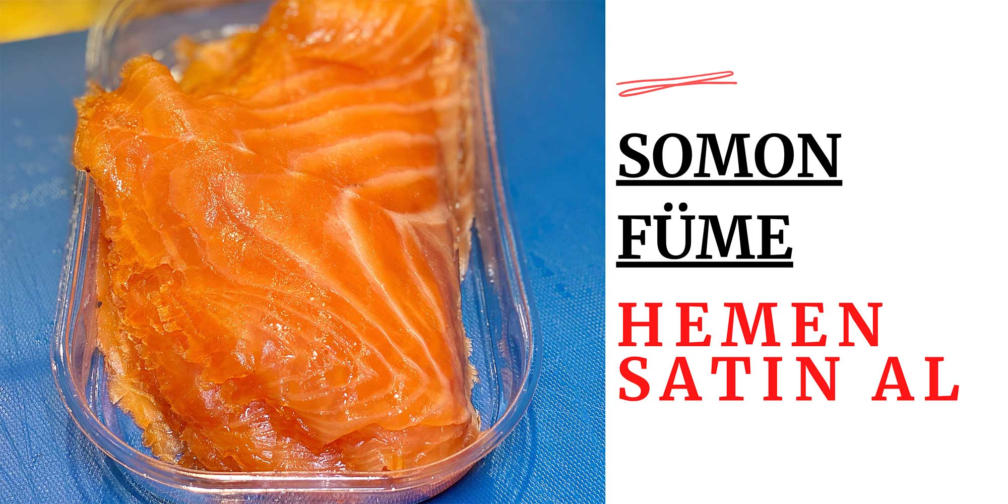 10 Soruda Norveç Somonu | Harbi Yiyorum